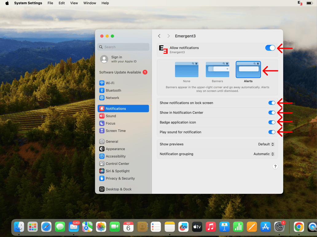 Desktop Notifications (Windows/Mac)